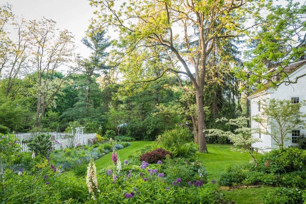 Cavano’s Perennials Welcomes David Culp - Cavano’s Perennials